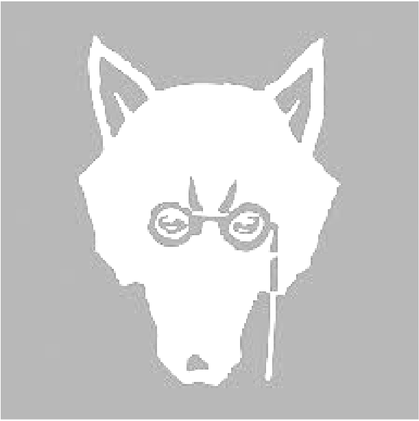 Curriculum Fabien Masson